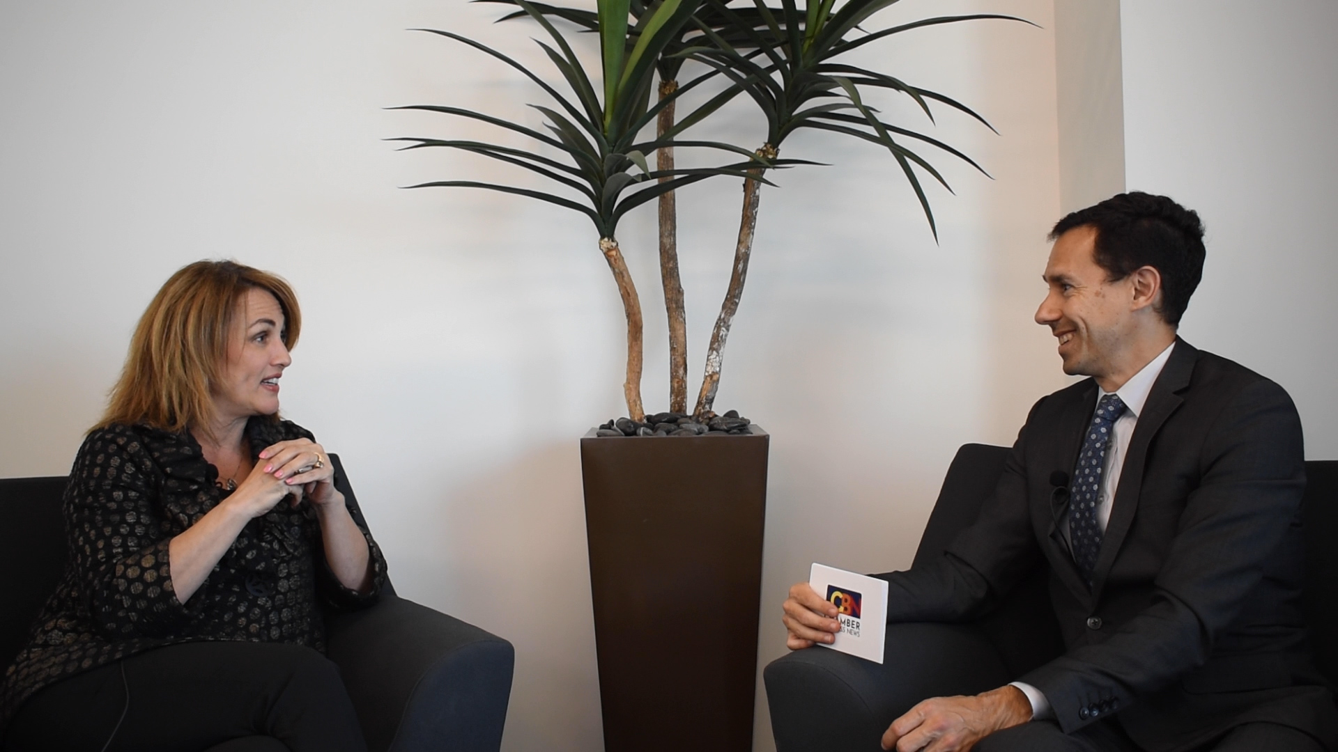 Ham(m)er Time! Episode 19: Sandra Watson - Chamber Business News